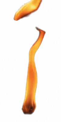 Fire Suppression Systems