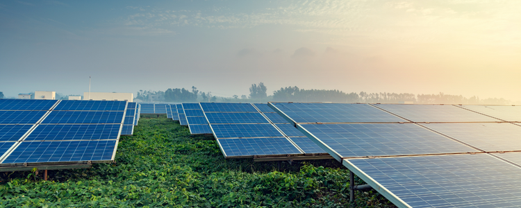 How to Extinguish a Solar Farm Fire