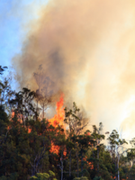 How to Extinguish a Solar Farm Fire