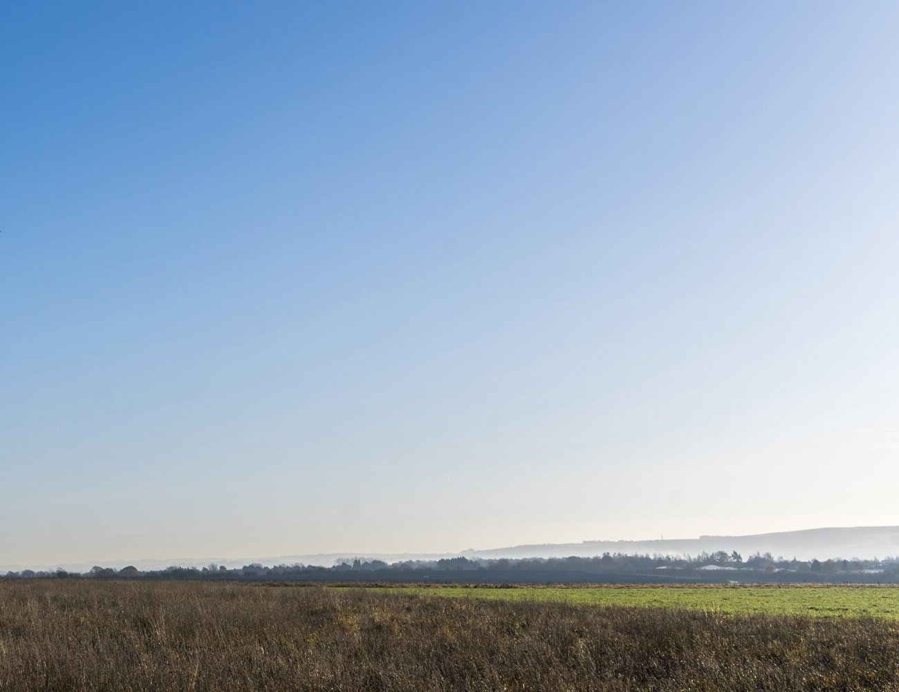 Why is Halon Banned?